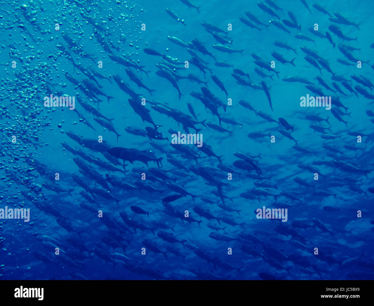 Beach seaside seashore palau hi-res stock photography and images - Alamy