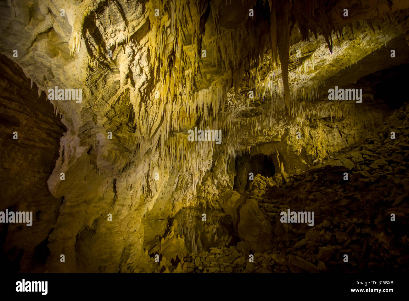 Stalagmites and stalactites in Ruakuri Cave, Waitomo in New Zealand ...
