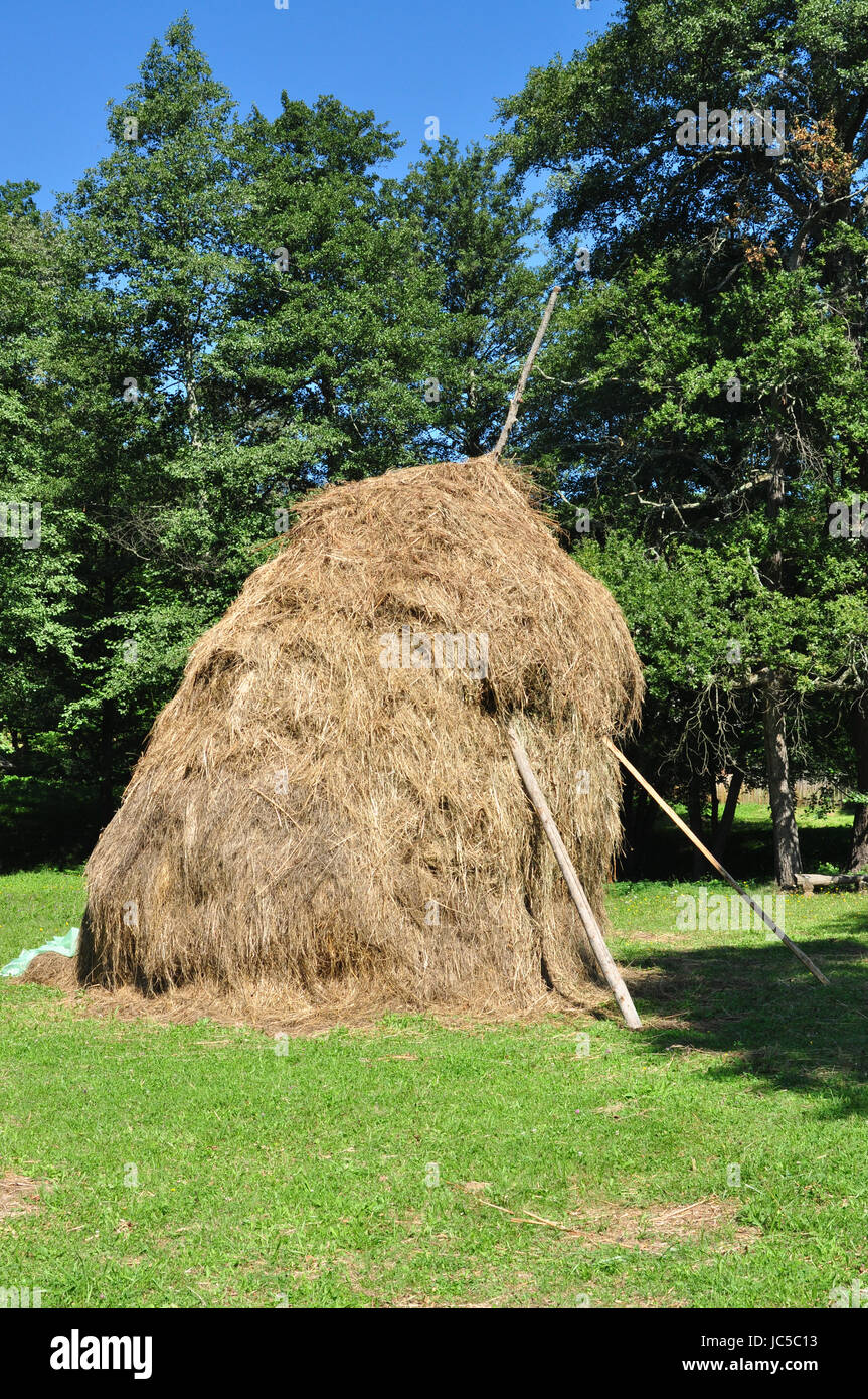 romania medieval haystack animal food traditional barn Stock Photo - Alamy