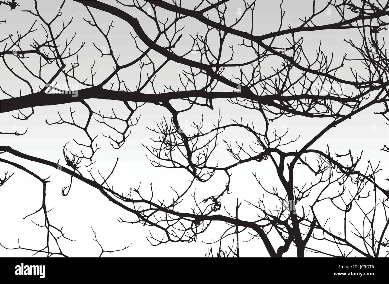 Background dead dry trees Stock Vector Images - Alamy