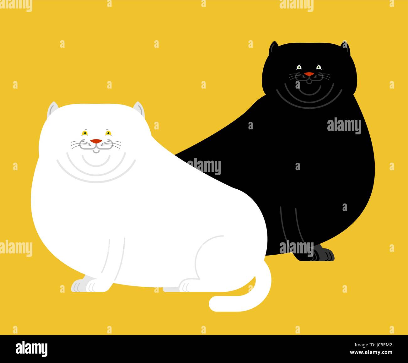 Fat black pussycat hi-res stock photography and images - Alamy