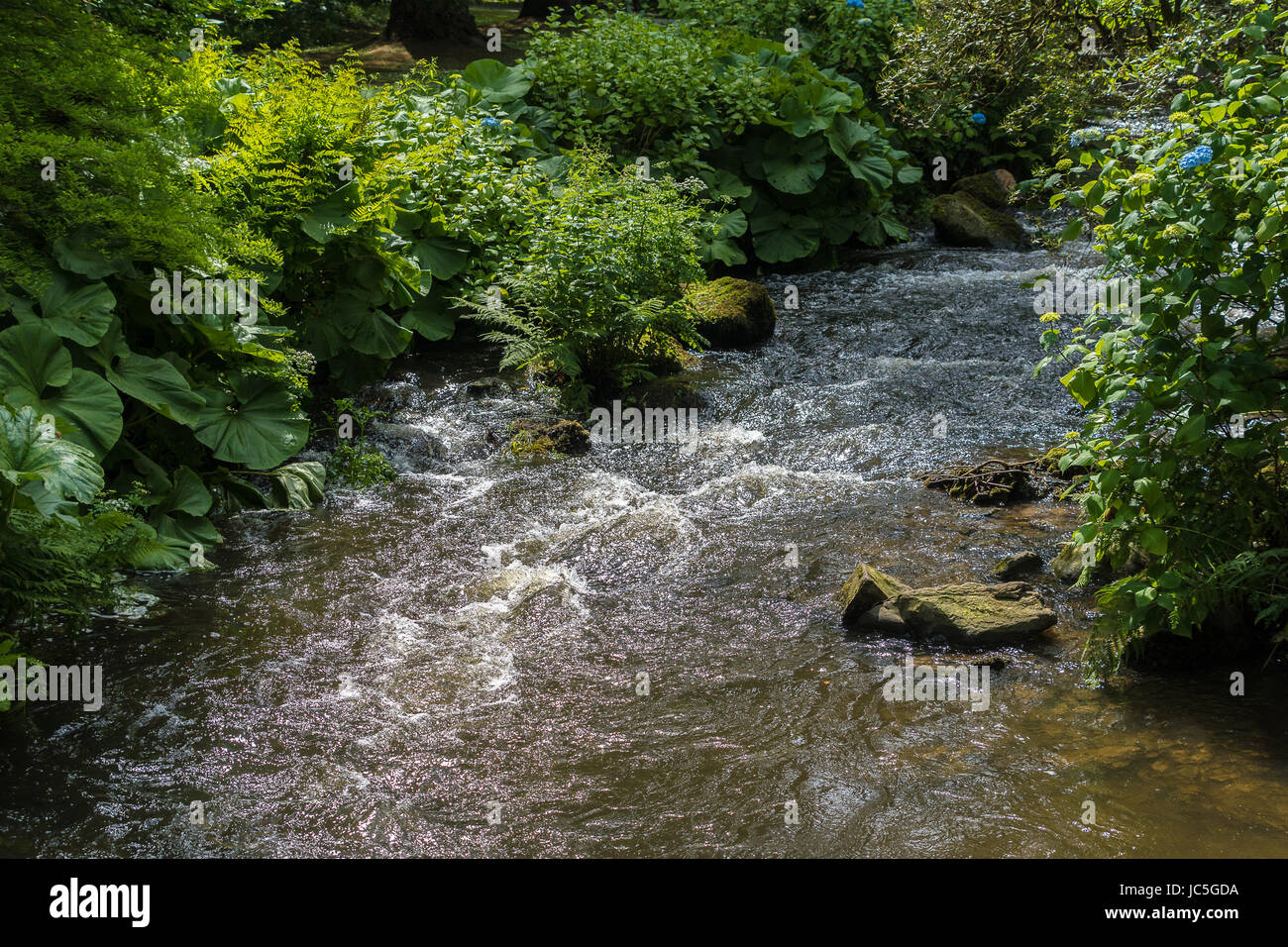 Water running down a river Stock Photo - Alamy