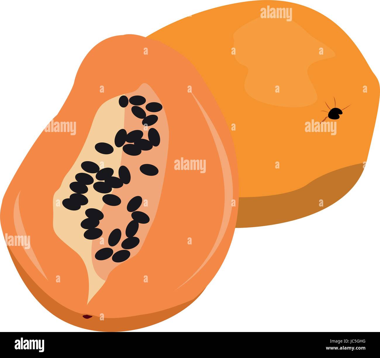 Raw papayas Stock Vector Images - Alamy