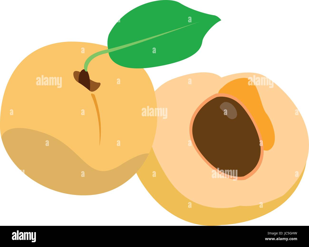 Pair of peaches Stock Vector Image & Art - Alamy