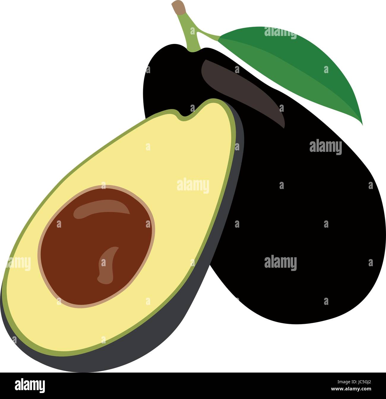 Isolated pair of avocados Stock Vector Image & Art - Alamy