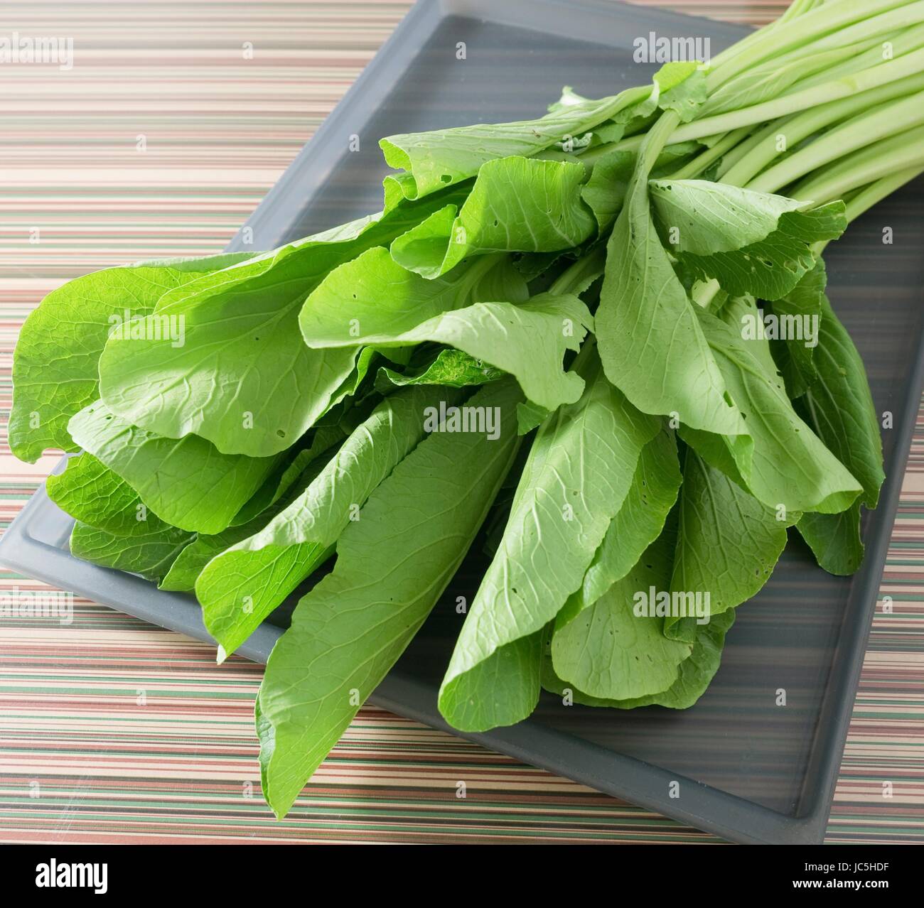 Vegetable, Fresh Oganic Chinese Cabbage, Bok Choy, Pok Choi or Pak Choi ...