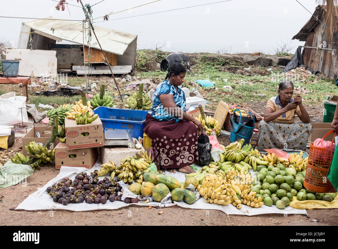 Woman at their fruit stall at an outdoor market in Negombo, Sri Lanka ...