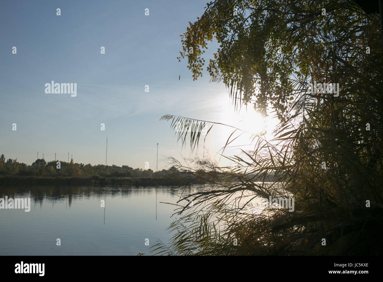 view of sunset with trees and water reflection in a lake Stock Photo ...