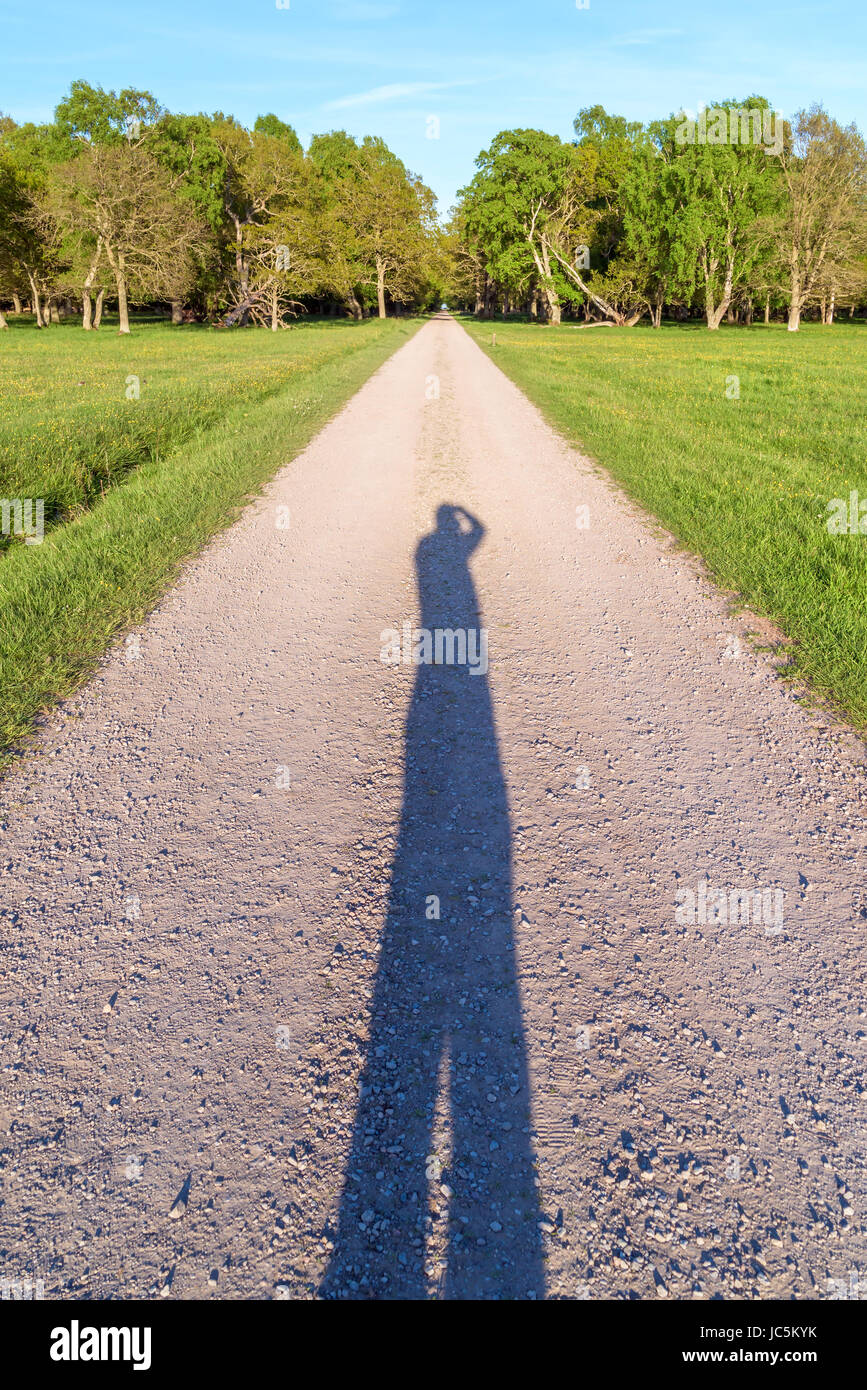 Tunnel country hi-res stock photography and images - Alamy