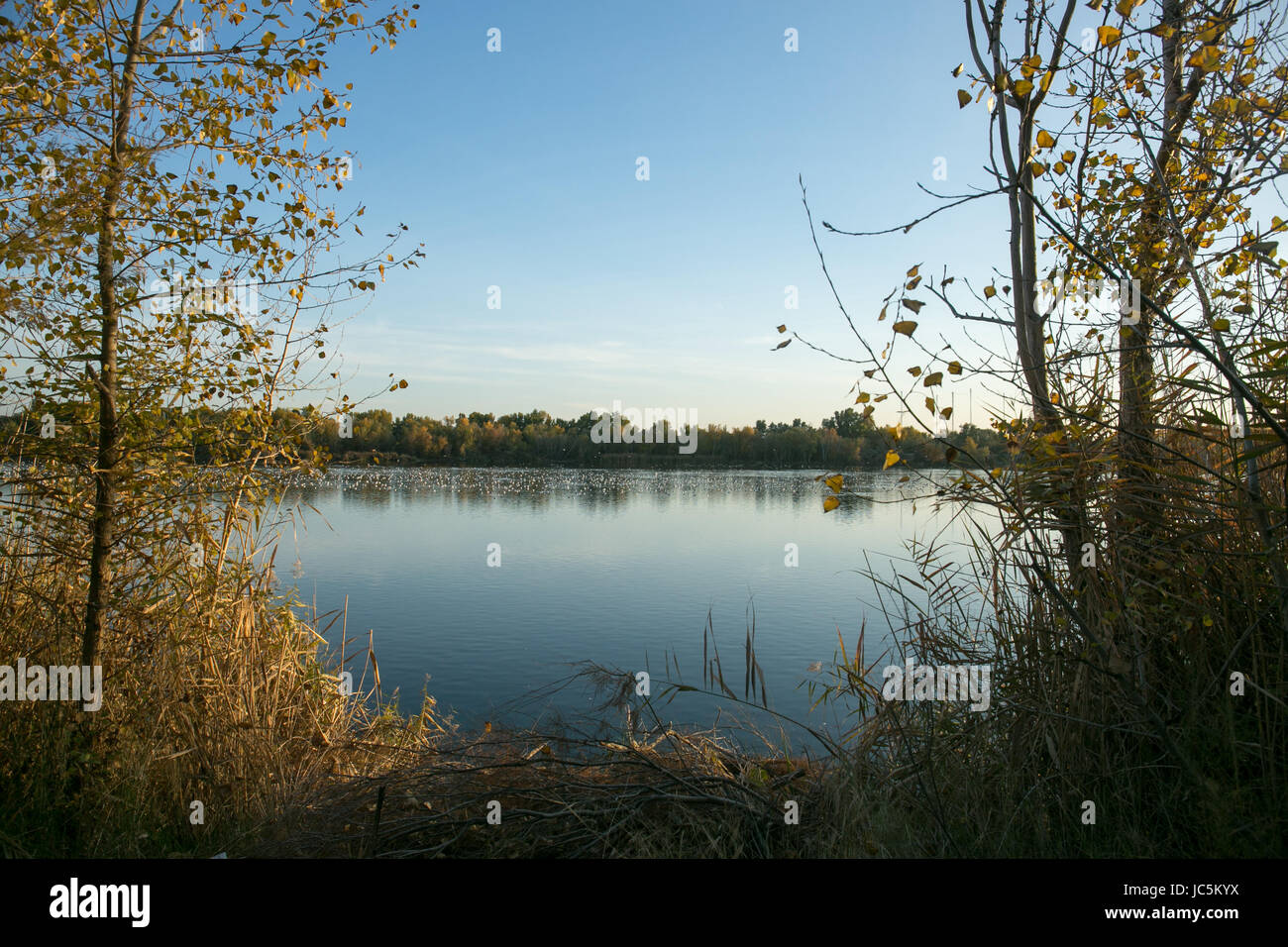 view of sunset with trees and water reflection in a lake Stock Photo ...