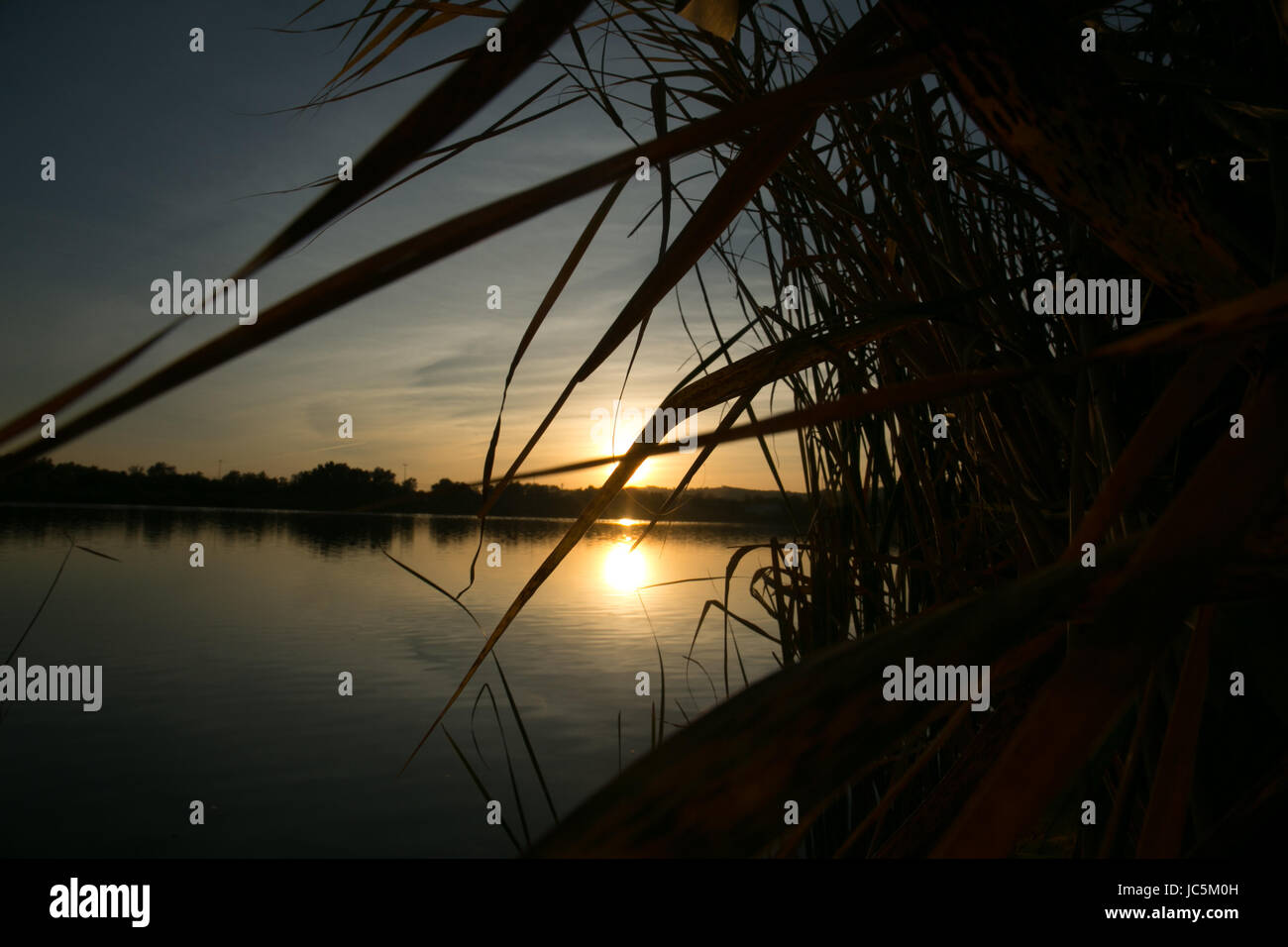 view of sunset with trees and water reflection in a lake Stock Photo ...