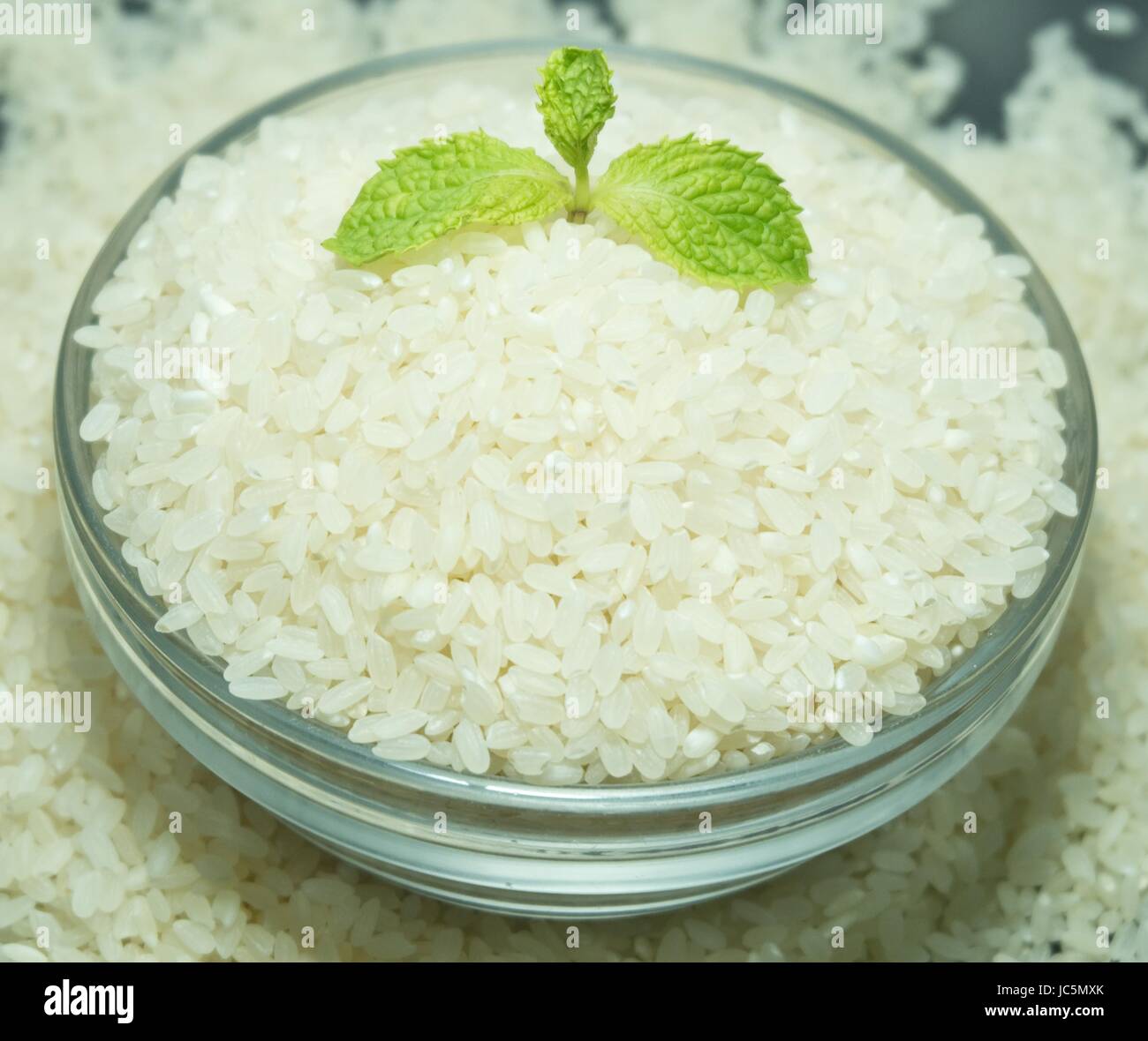Japanese menthol mint hi-res stock photography and images - Alamy