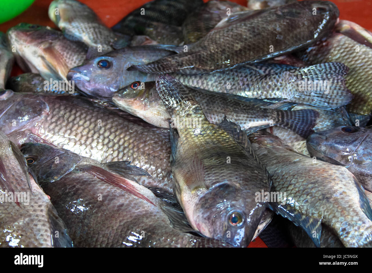 Close up of fresh fish for sale in Dambulla area Sri Lanka Stock Photo ...