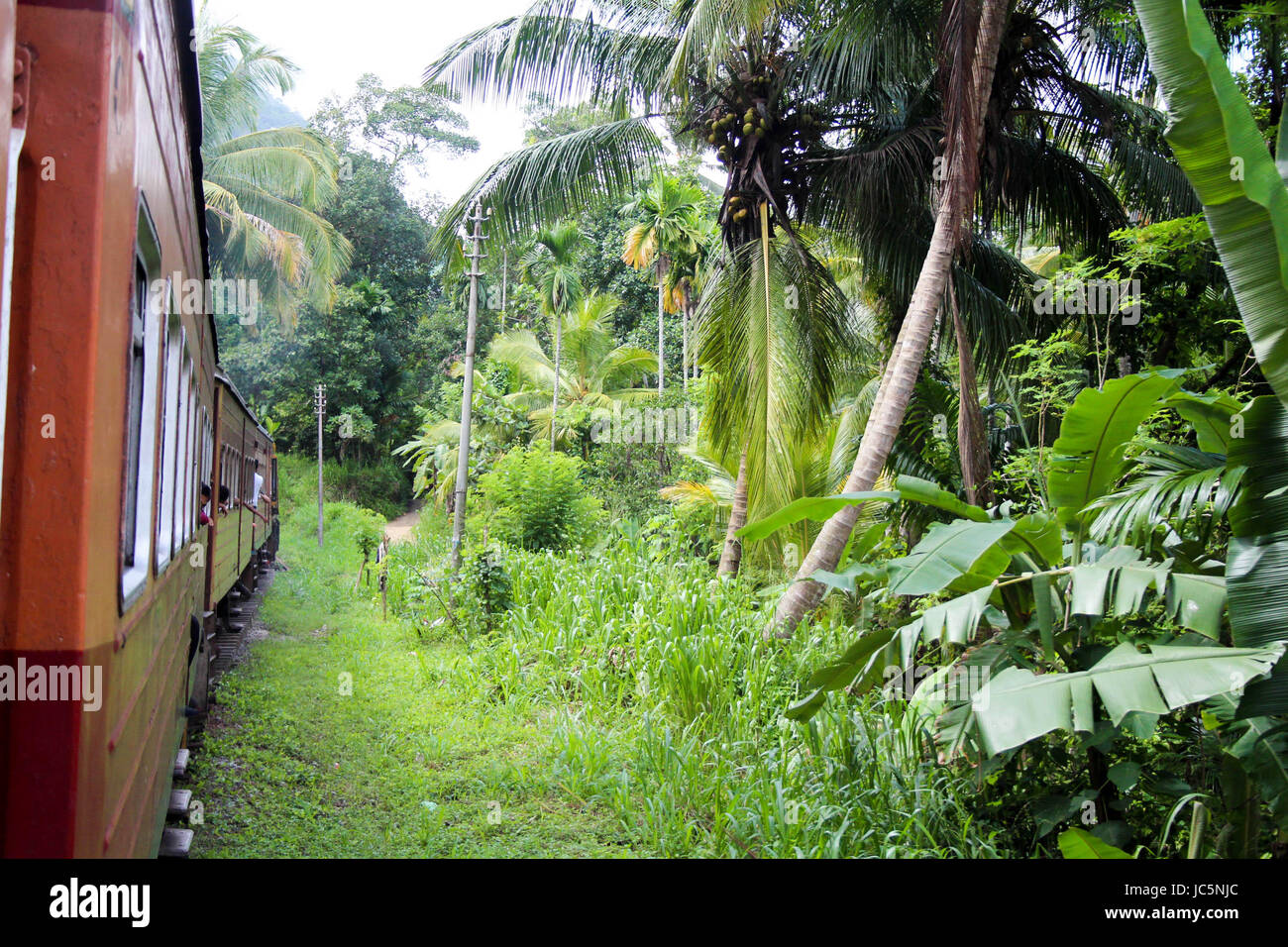 Beautiful scenic landscape on train journey from Colombo to Kandy Stock ...