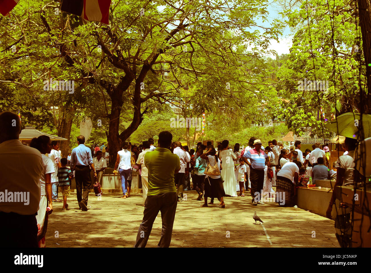 Poson poya hi-res stock photography and images - Alamy