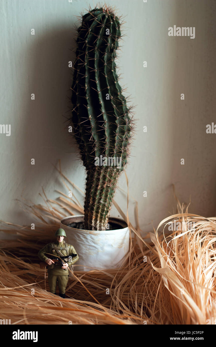toy military man guards the cactus Stock Photo - Alamy