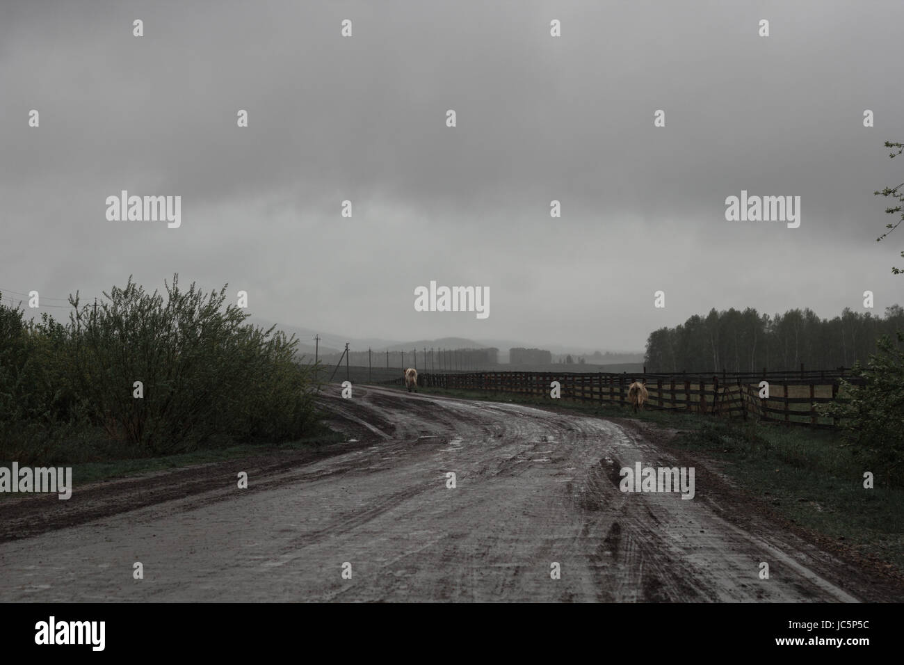 depressive landscape with country road, rain and fog Stock Photo - Alamy
