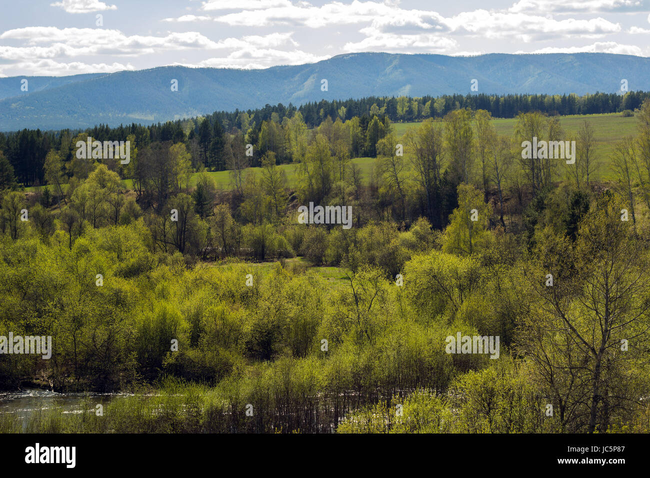 beautiful landscape with the forest and the Ural mountains in Bashkiria ...