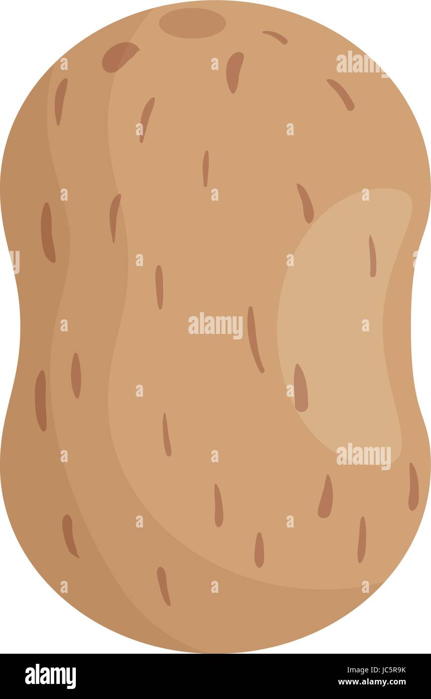 Potato healthy food Stock Vector Image & Art - Alamy