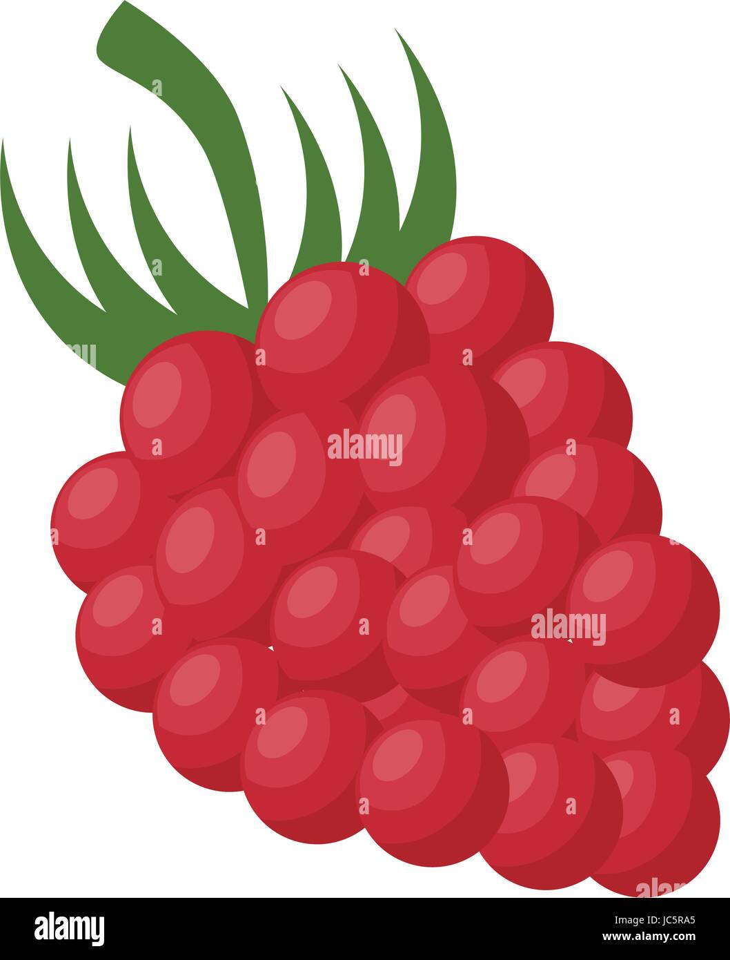 Grapes delicious fruit Stock Vector Image & Art - Alamy