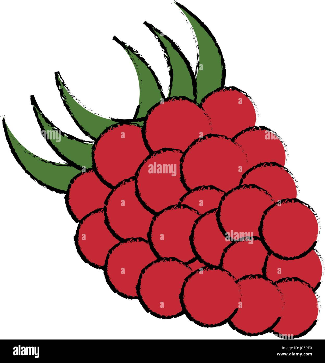 Grapes delicious fruit Stock Vector Image & Art - Alamy