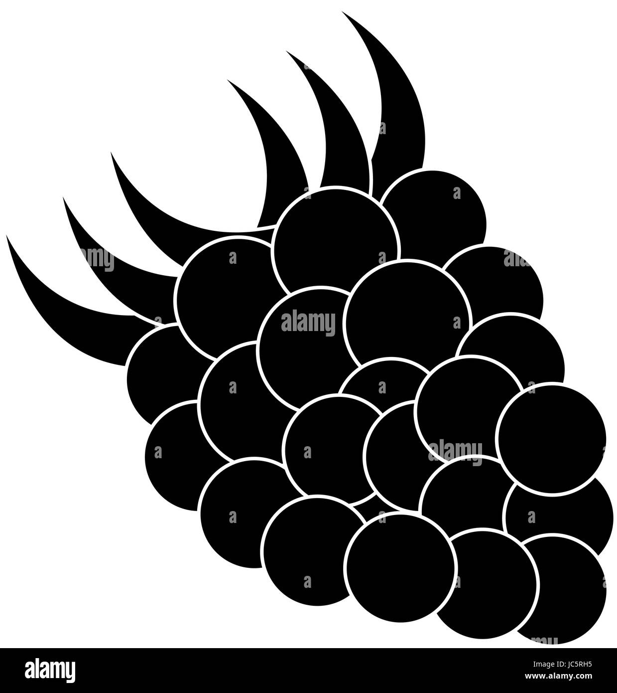 Grapes with stem Black and White Stock Photos & Images - Alamy