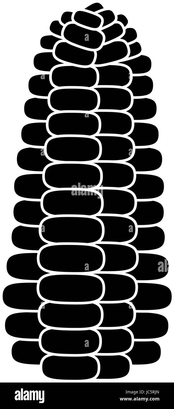 Corn vector hi-res stock photography and images - Alamy