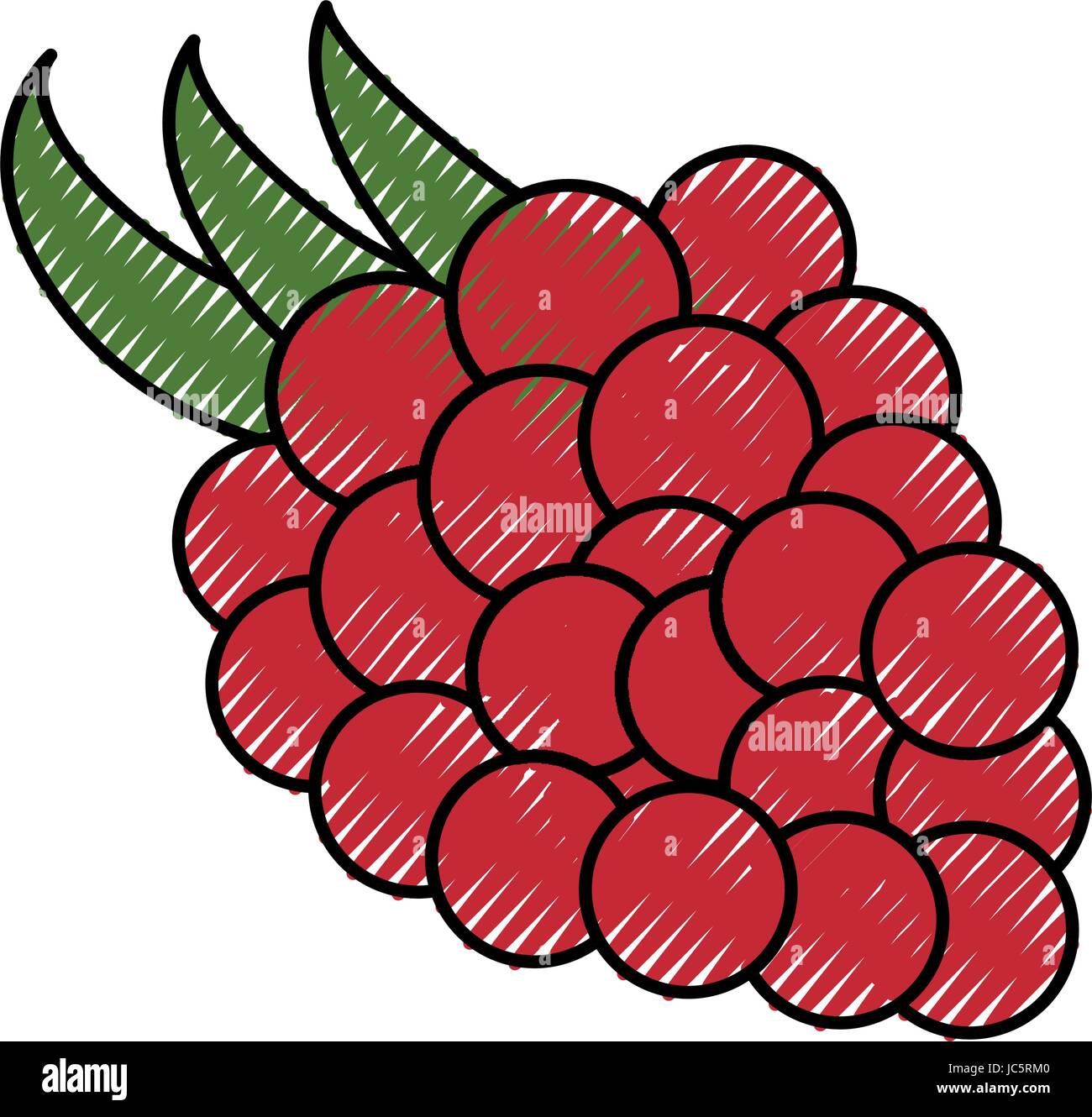 Grapes delicious fruit Stock Vector Image & Art - Alamy