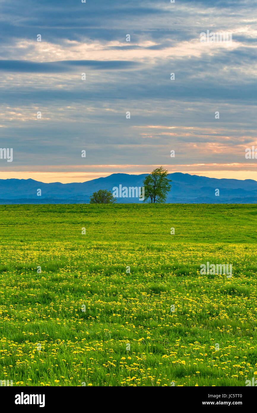 Vermont Landscape High Resolution Stock Photography and Images - Alamy