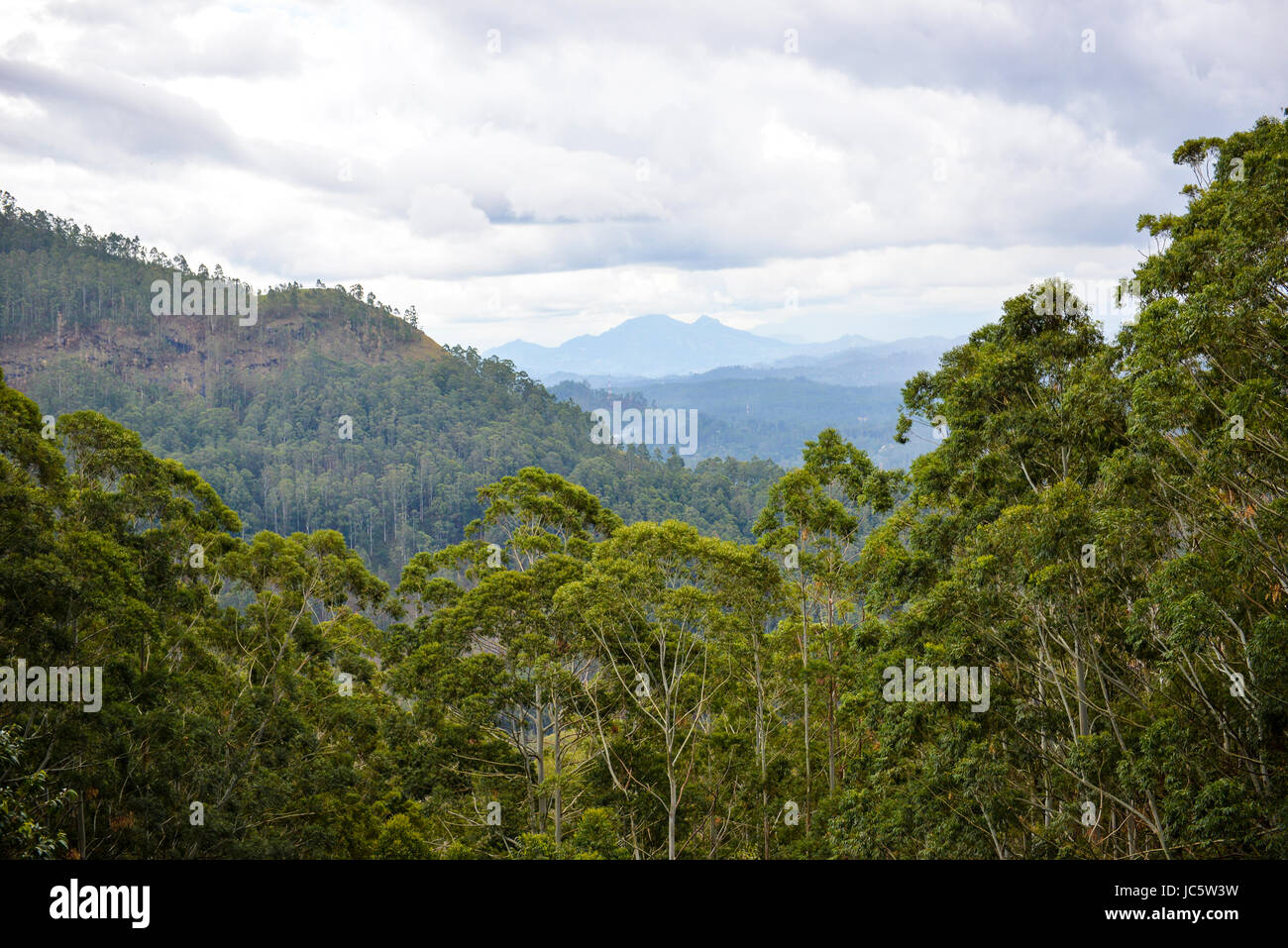 The natural scenery, filmed in Sri lanka Stock Photo - Alamy