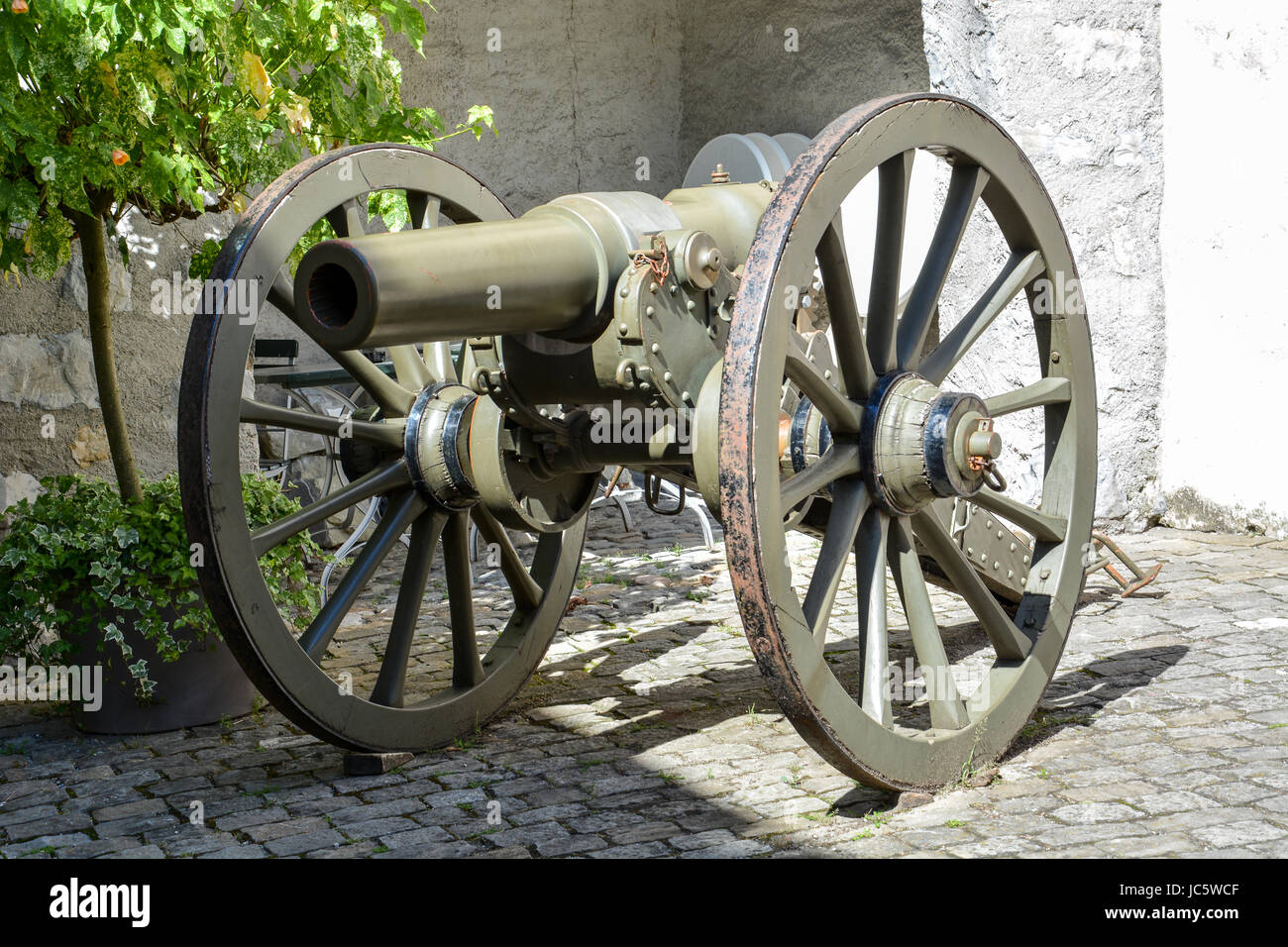 Old rusty green canon standing at the castle of Thun in Switzerland ...