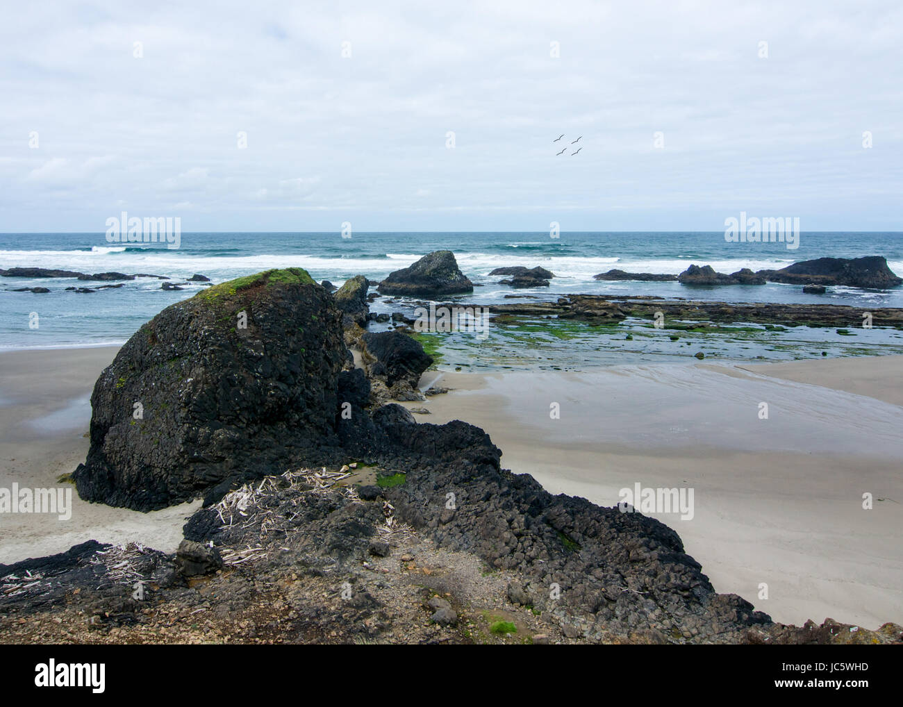 Rocks lined up leading into the sea at a beach near Seal Rock, Oregon ...