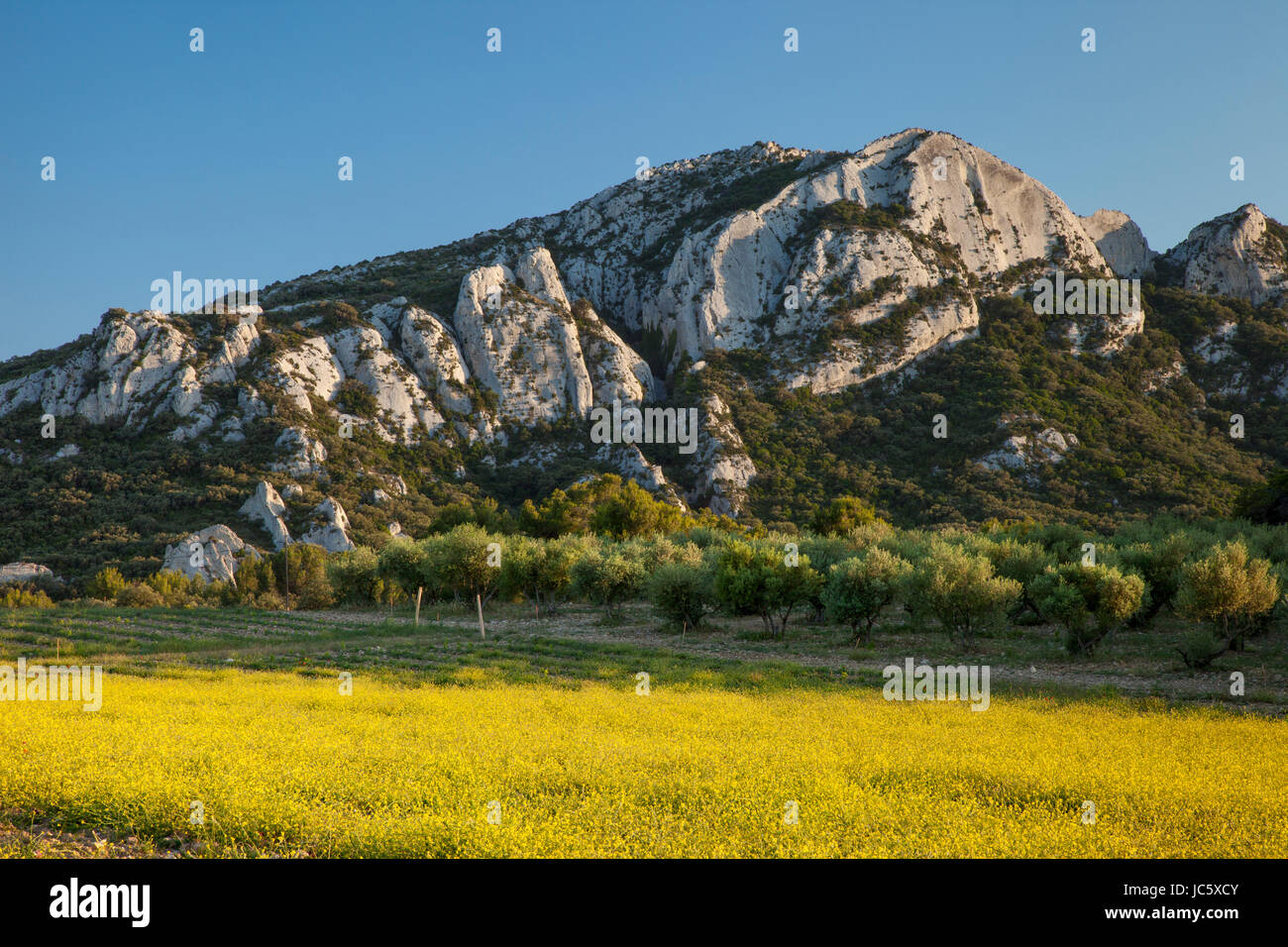 France alpilles hi-res stock photography and images - Alamy