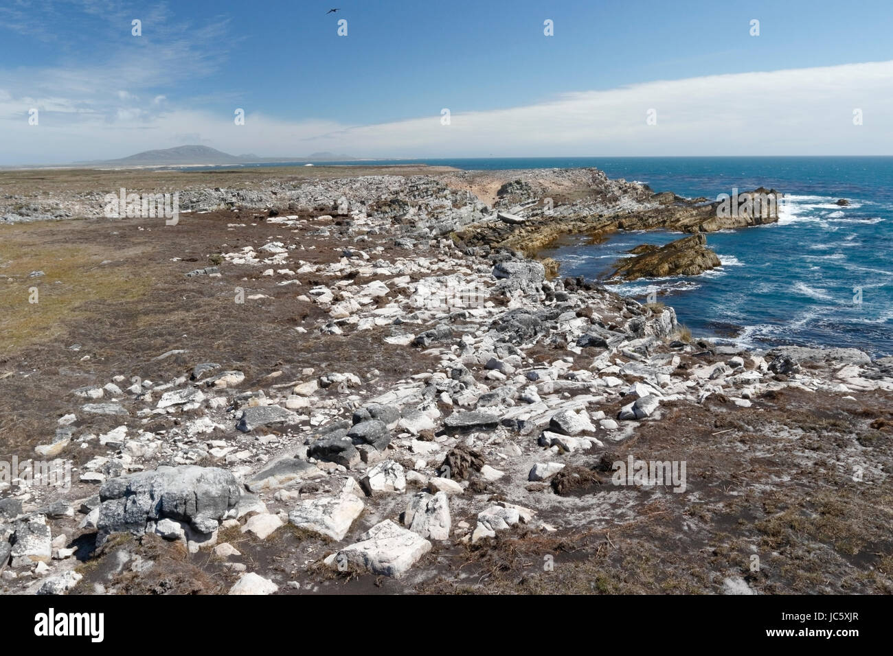 Pebble island falklands hi-res stock photography and images - Alamy