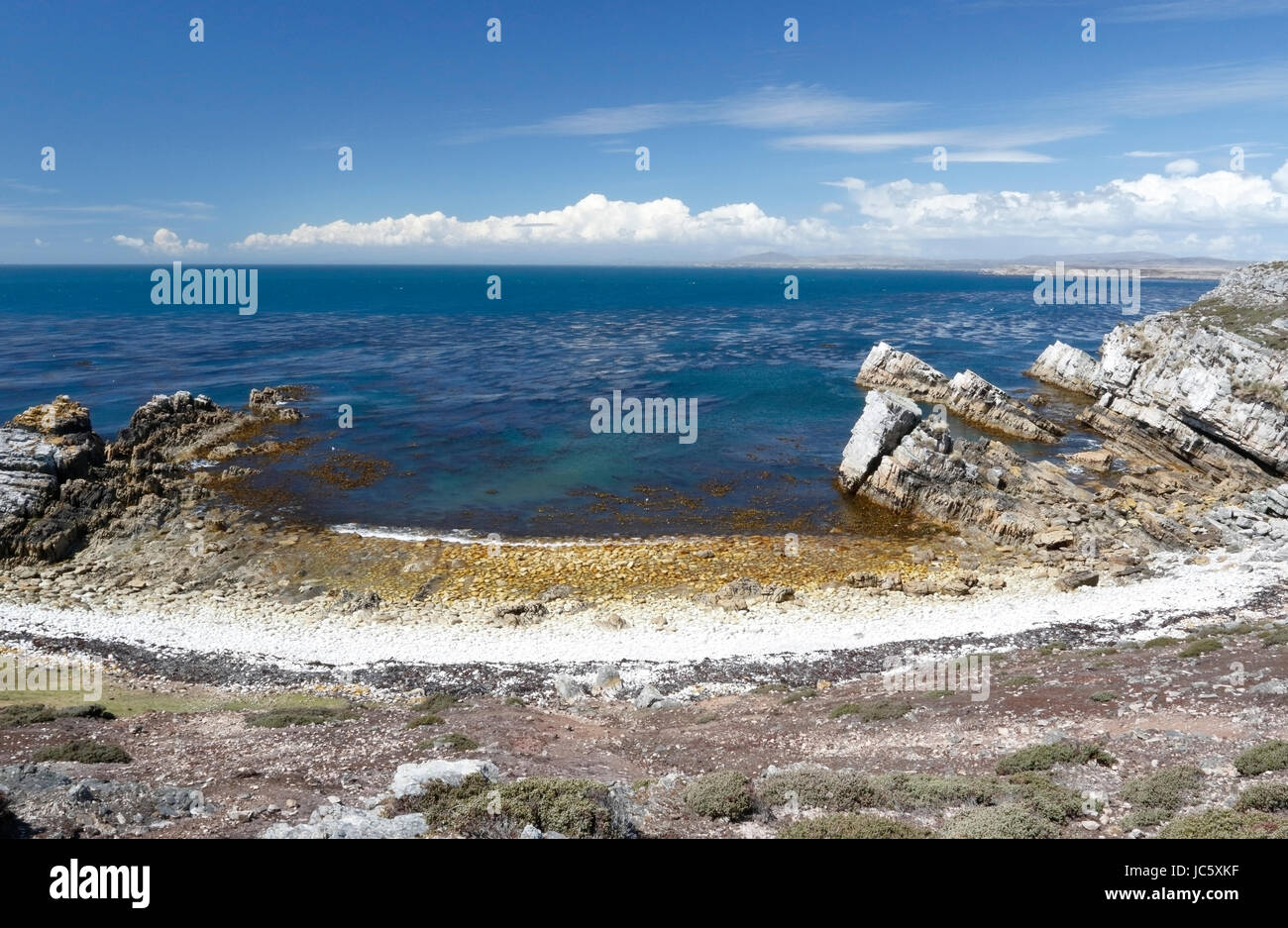 view of Pebble Island, Falkland Islands Stock Photo - Alamy