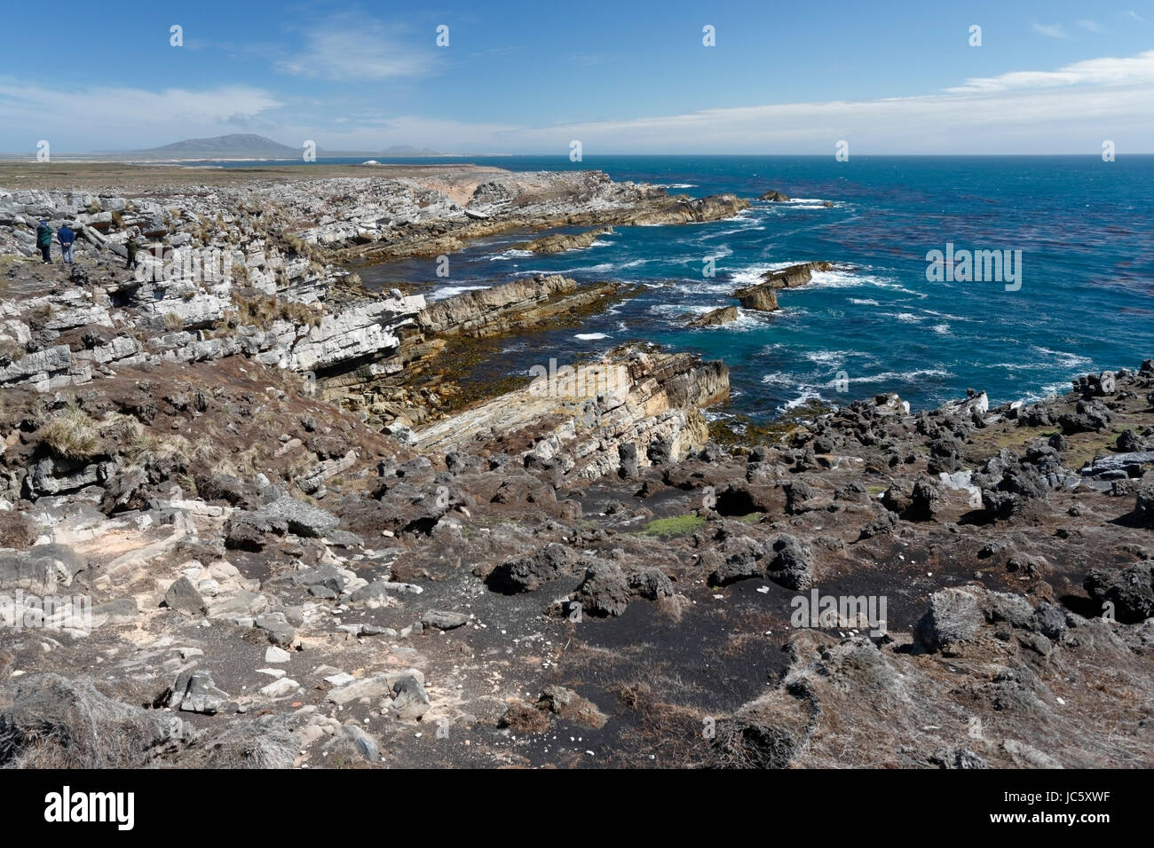 Pebble island falklands war hi-res stock photography and images - Alamy