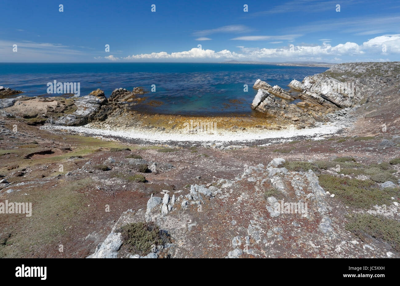 view of Pebble Island, Falkland Islands Stock Photo - Alamy