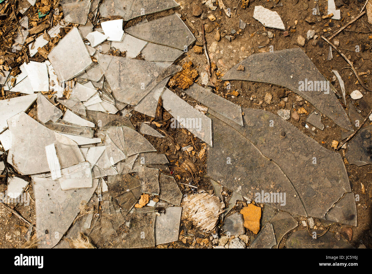 Broken glass on the ground. Garbage. Danger Stock Photo - Alamy