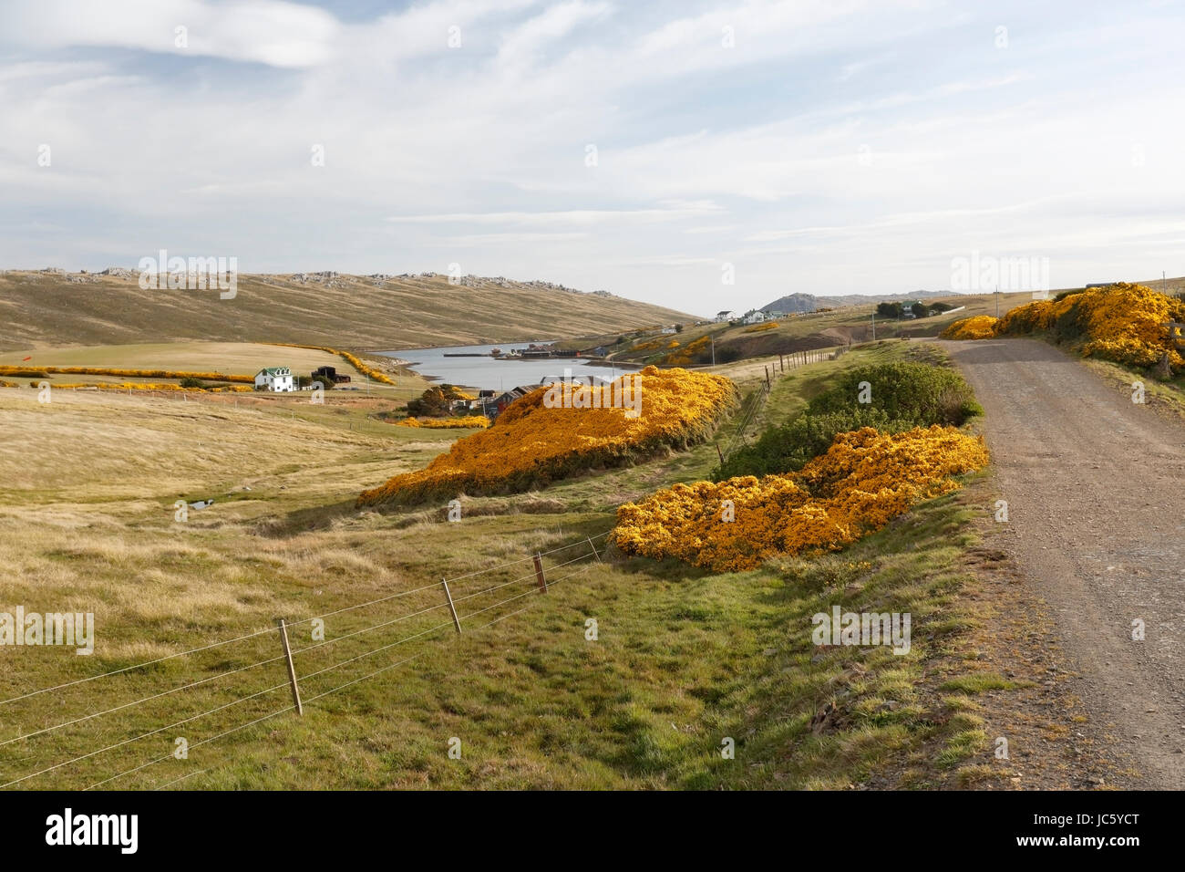 view of Port Howard settlement, Falkland Islands Stock Photo - Alamy