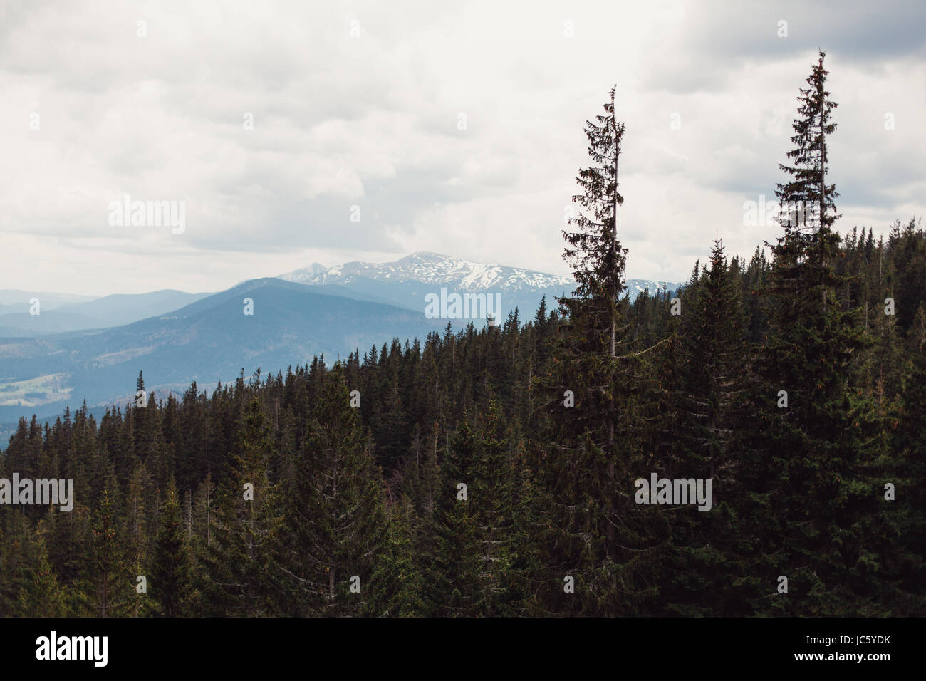 landscape in mountains Carpathians Ukraine, Dragobrat Stock Photo - Alamy