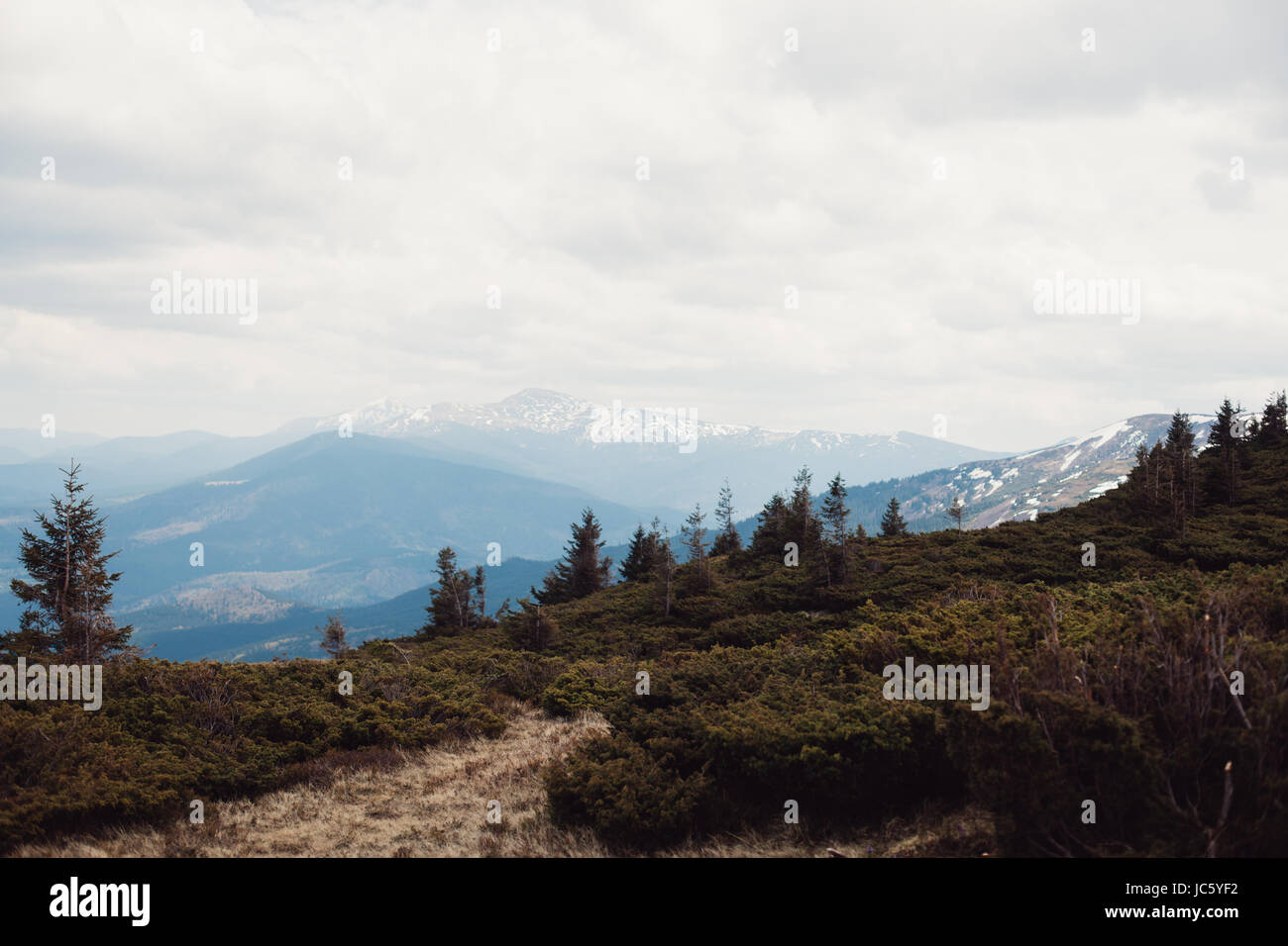 landscape in mountains Carpathians Ukraine, Dragobrat Stock Photo - Alamy
