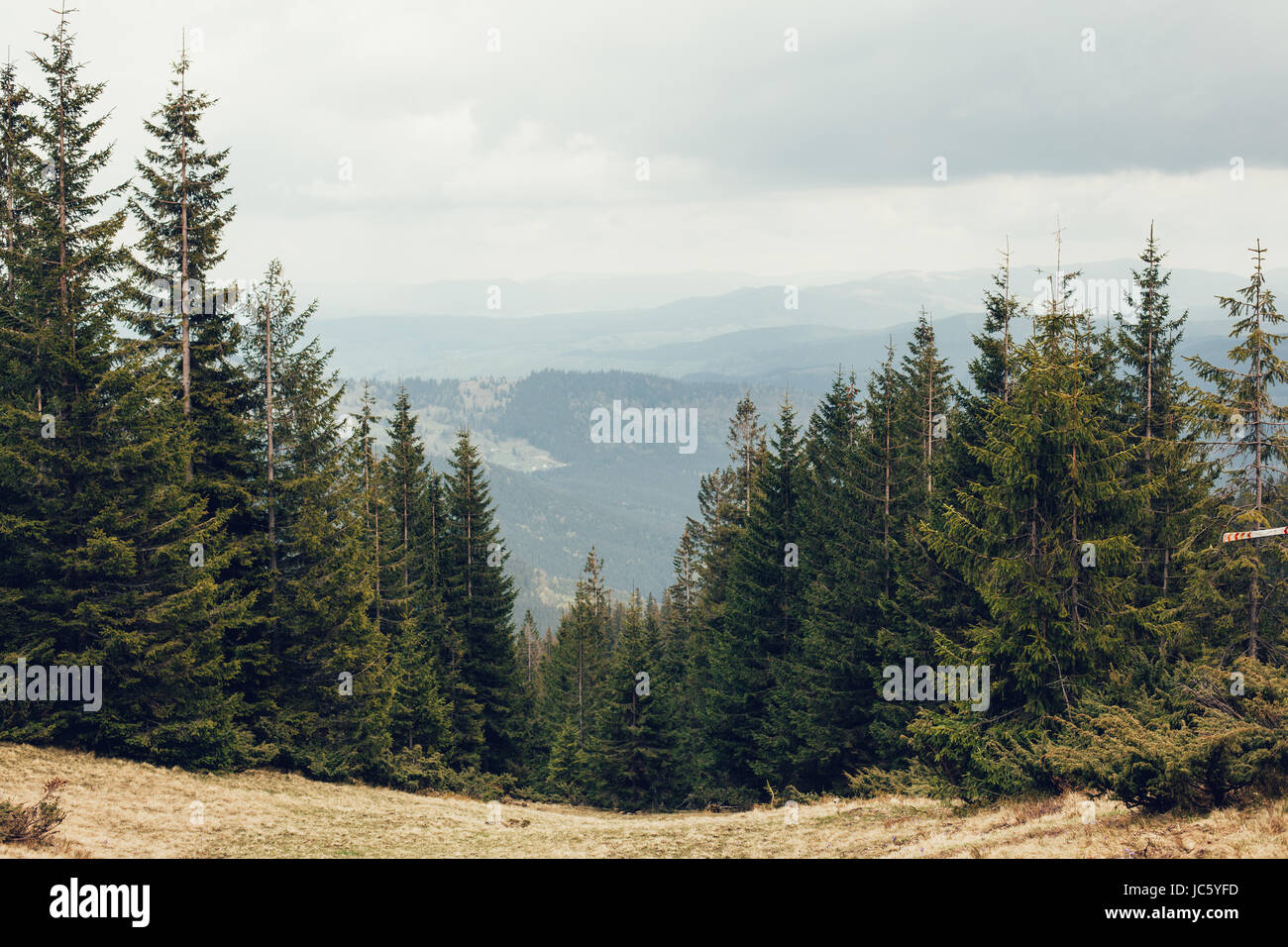 landscape in mountains Carpathians Ukraine, Dragobrat Stock Photo - Alamy