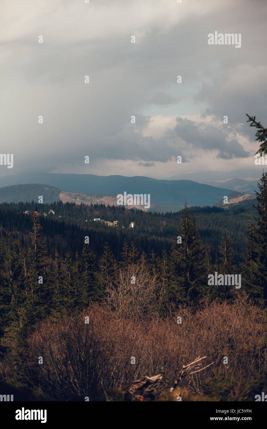 landscape in mountains Carpathians Ukraine, Dragobrat Stock Photo - Alamy