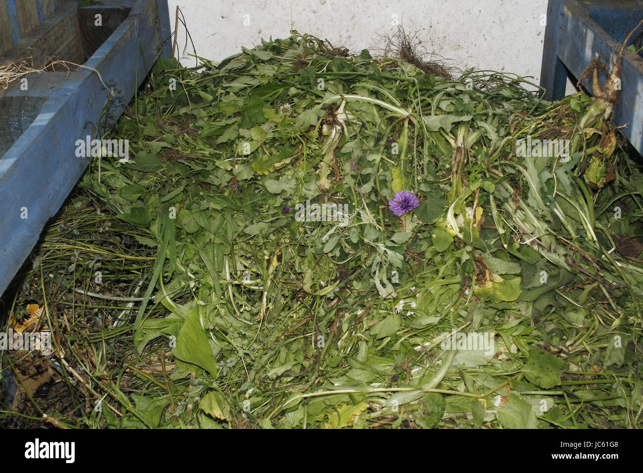 home made compost heap in a garden Stock Photo - Alamy