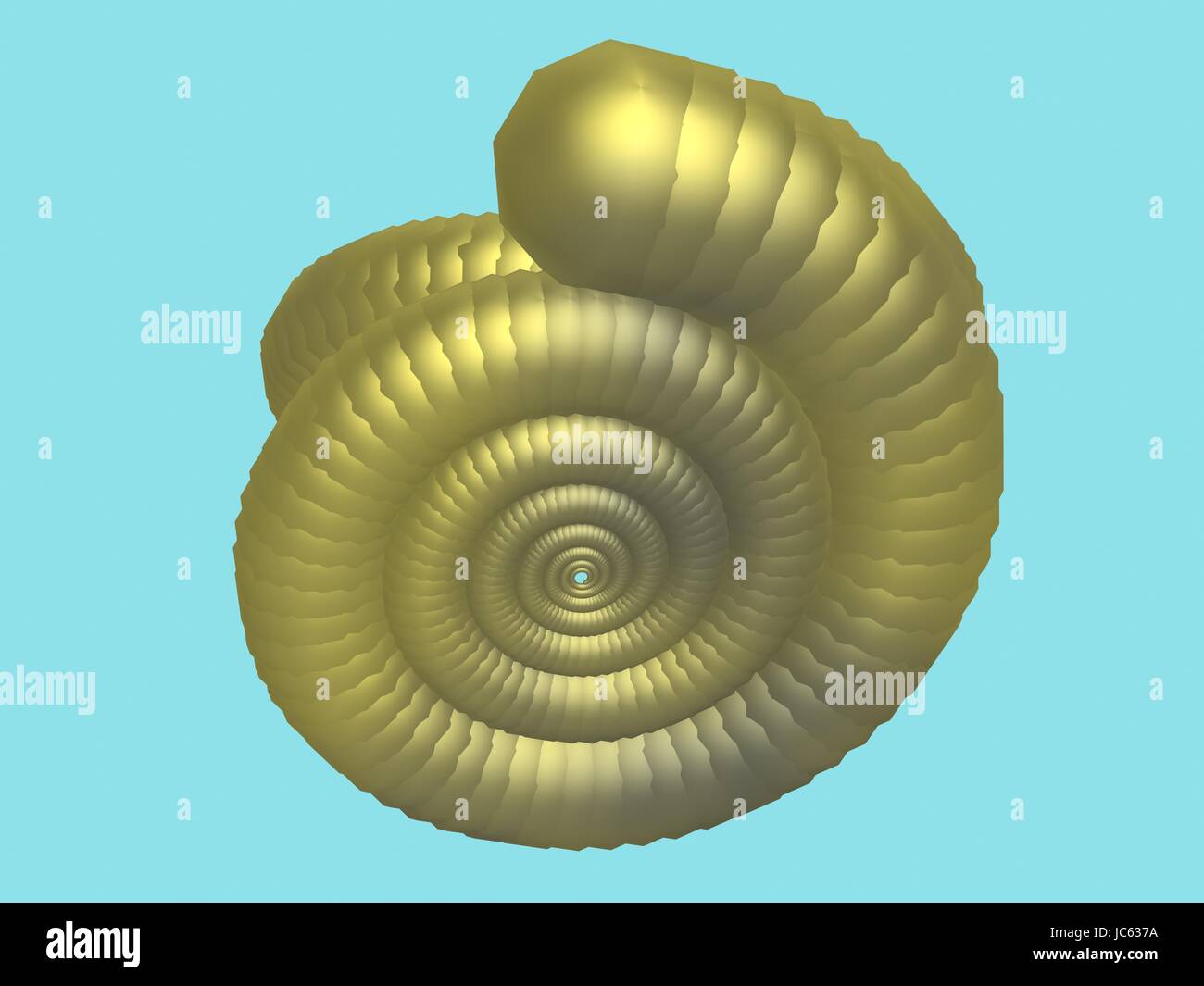 Ammonite shape hi-res stock photography and images - Alamy