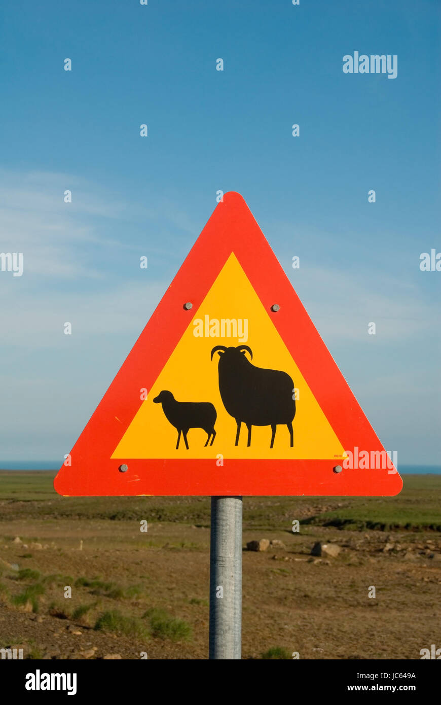 Europe, Iceland, Iceland, sign, esteem sheep, Europa, Island, Schild ...