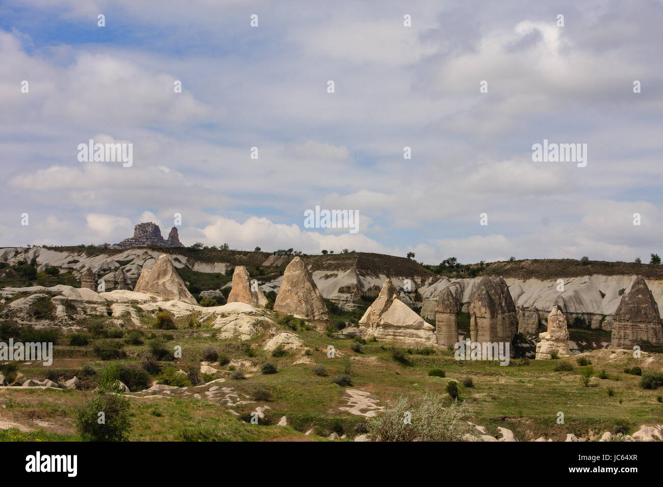 fairy chimneys of Cappadocia in Turkey in spring with green grass and ...