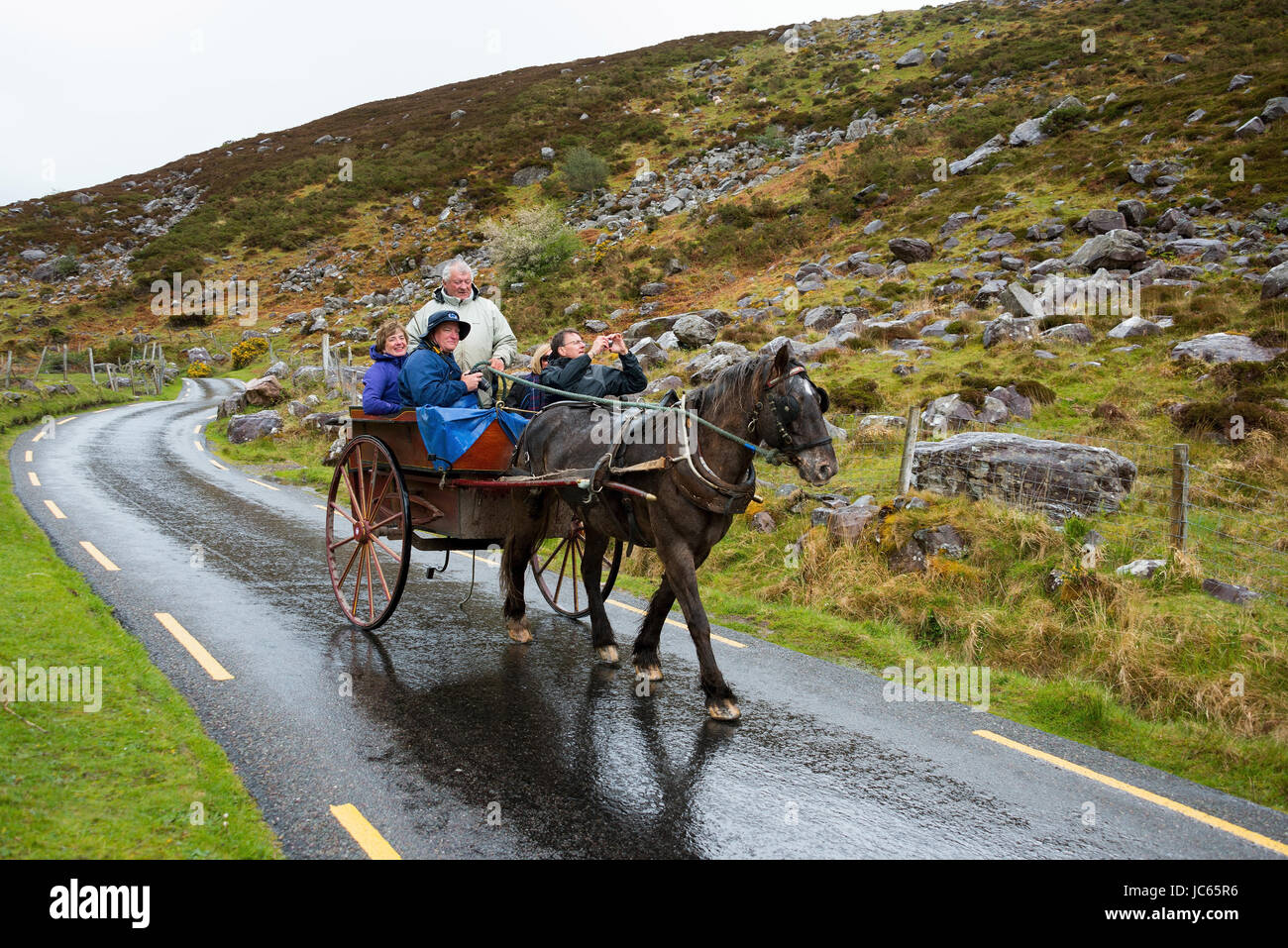 Gap Of Dunloe Horse High Resolution Stock Photography and Images - Alamy