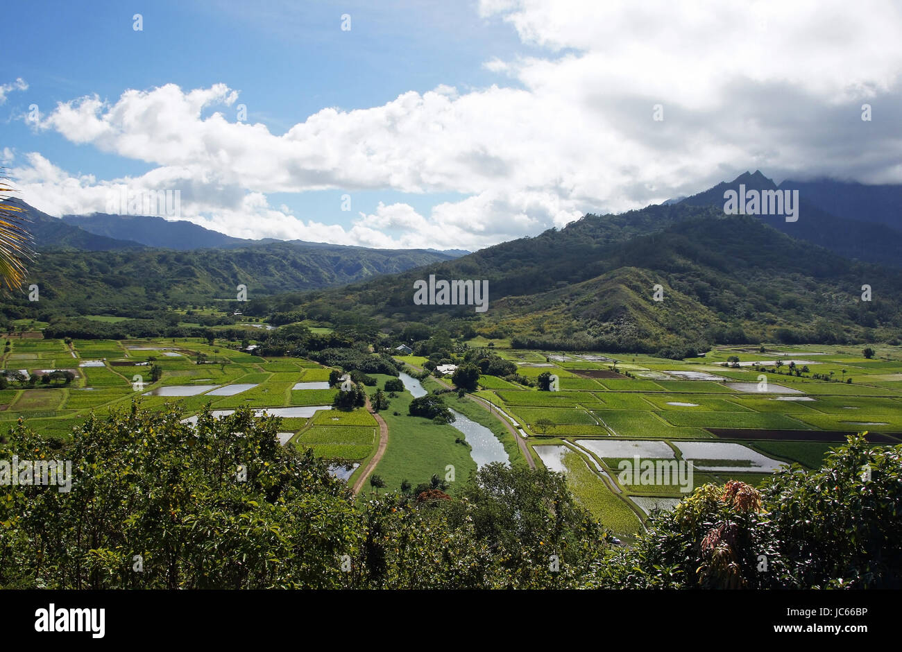 Hawaii is an island chain in the Pacific Ocean and since 1959 the 50th ...