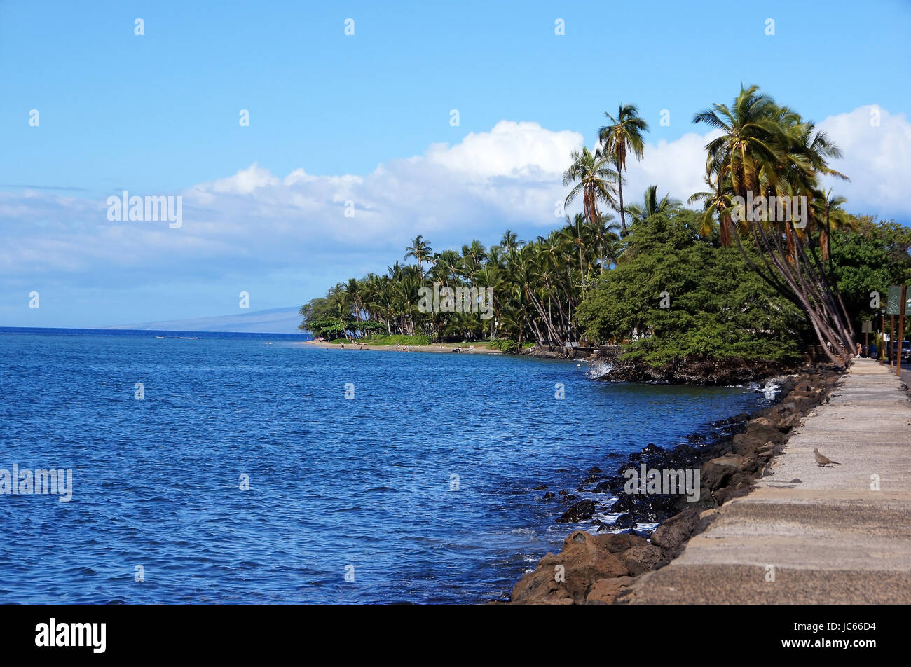 Hawaii is an island chain in the Pacific Ocean and since 1959 the 50th ...